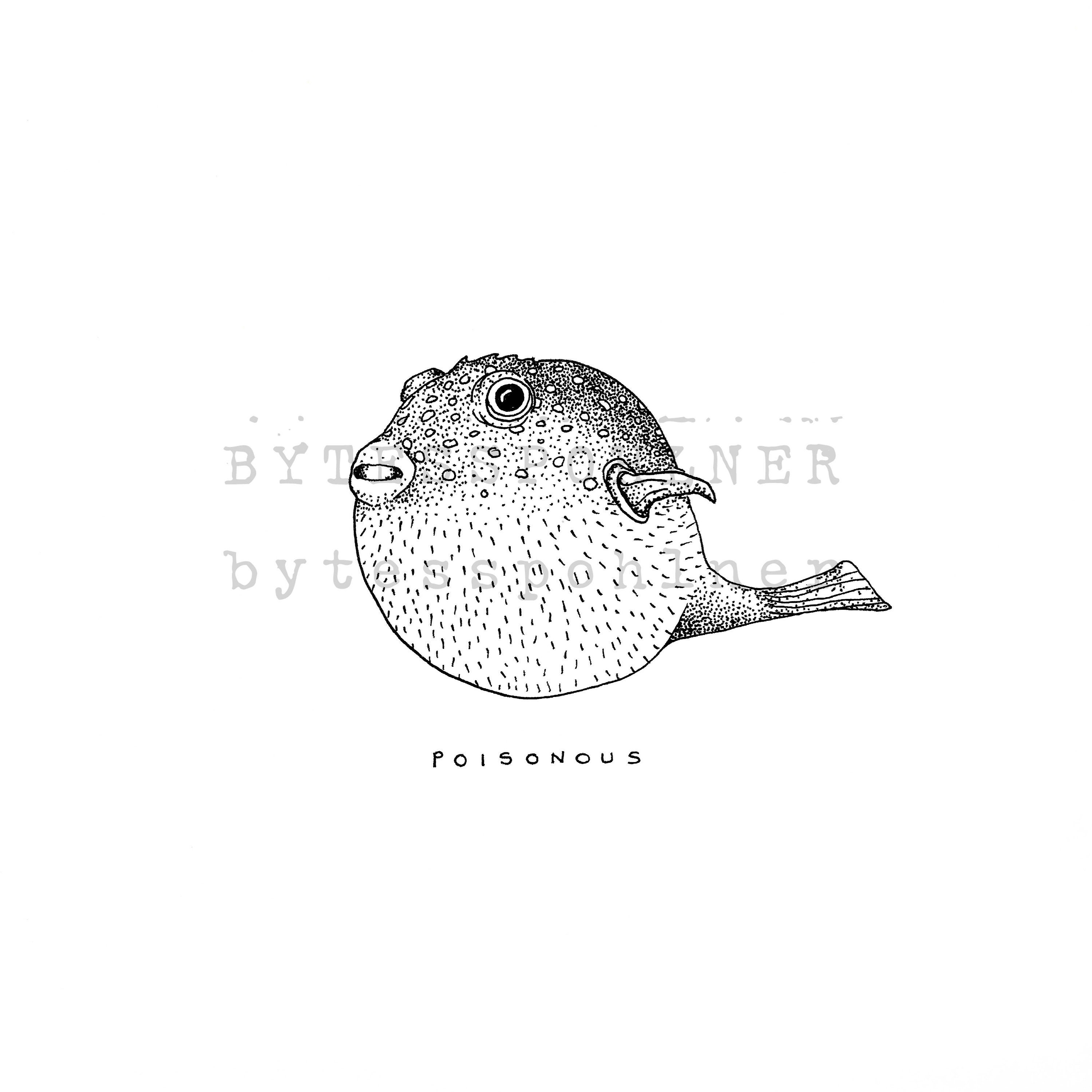 DIGITAL FILE "poisonous" Puffer Fish Drawing Printable Art - Etsy