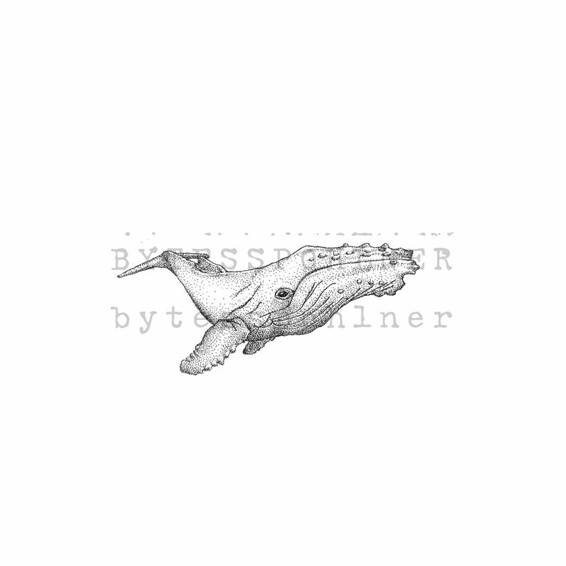DIGITAL FILE Humpback Whale Ink Drawing Printable Art - Etsy Israel