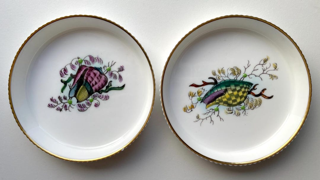 ROYAL WORCESTER COASTERS (2) - Shell & Coral Decoration - Exquisite! - Etsy