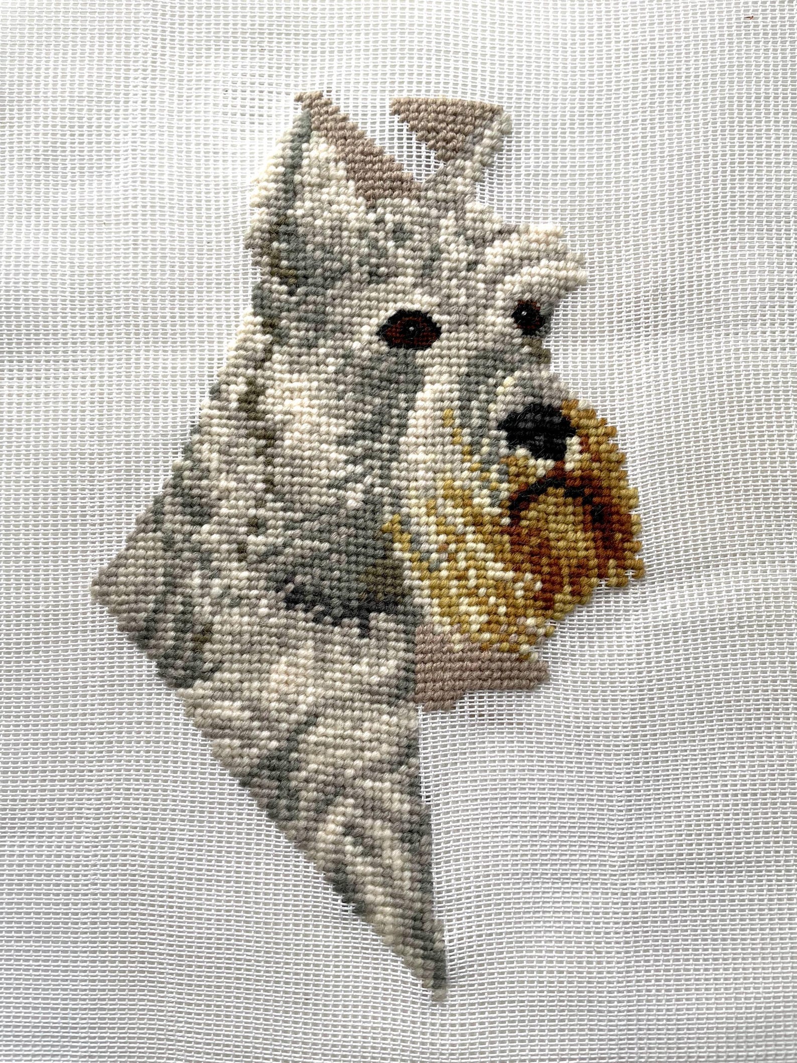 SCHNAUZER | Dog Needlepoint | Preworked Canvas - Etsy