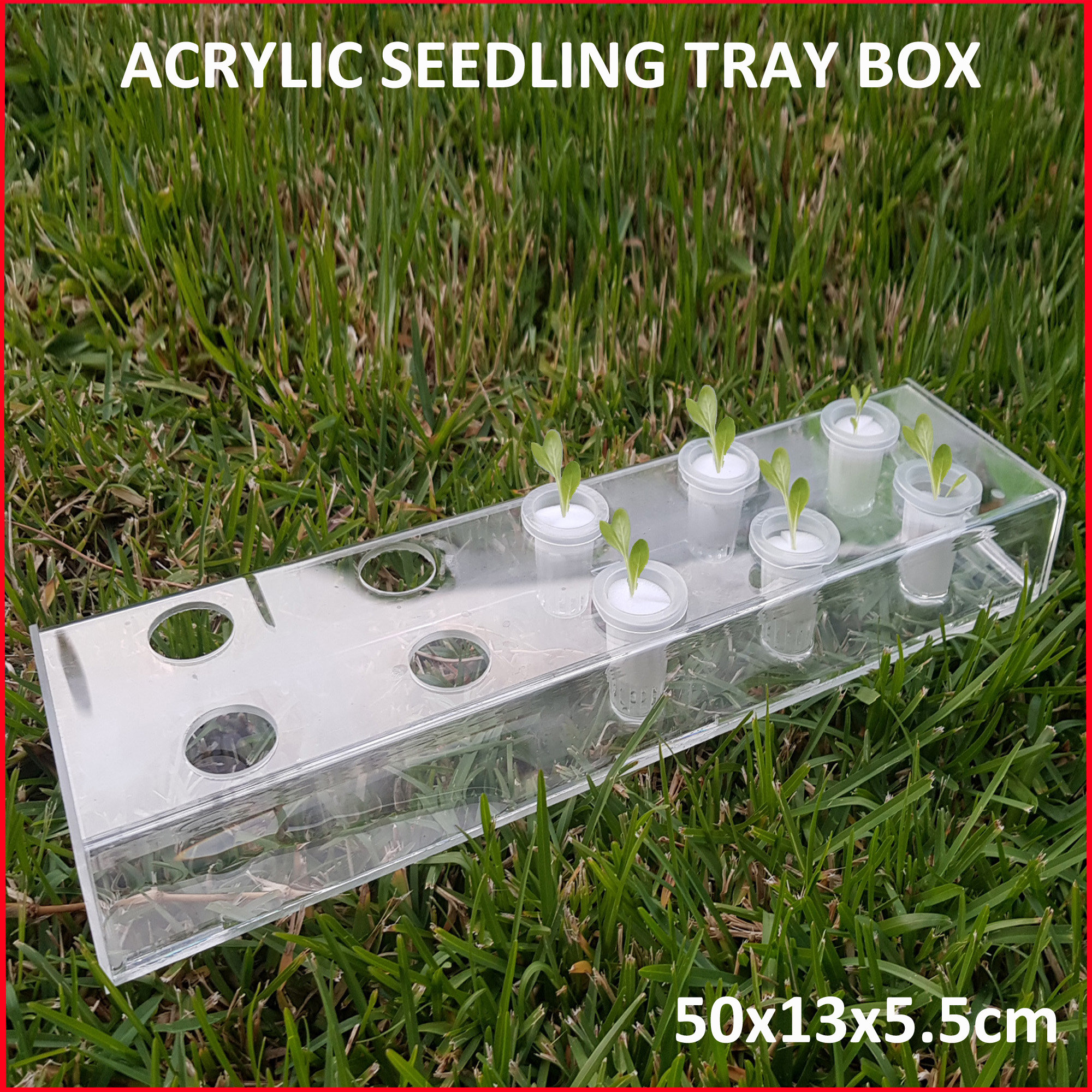 Acrylic Propagator Tray Hydroponics Nursery Cloning Kit Tray - Etsy UK