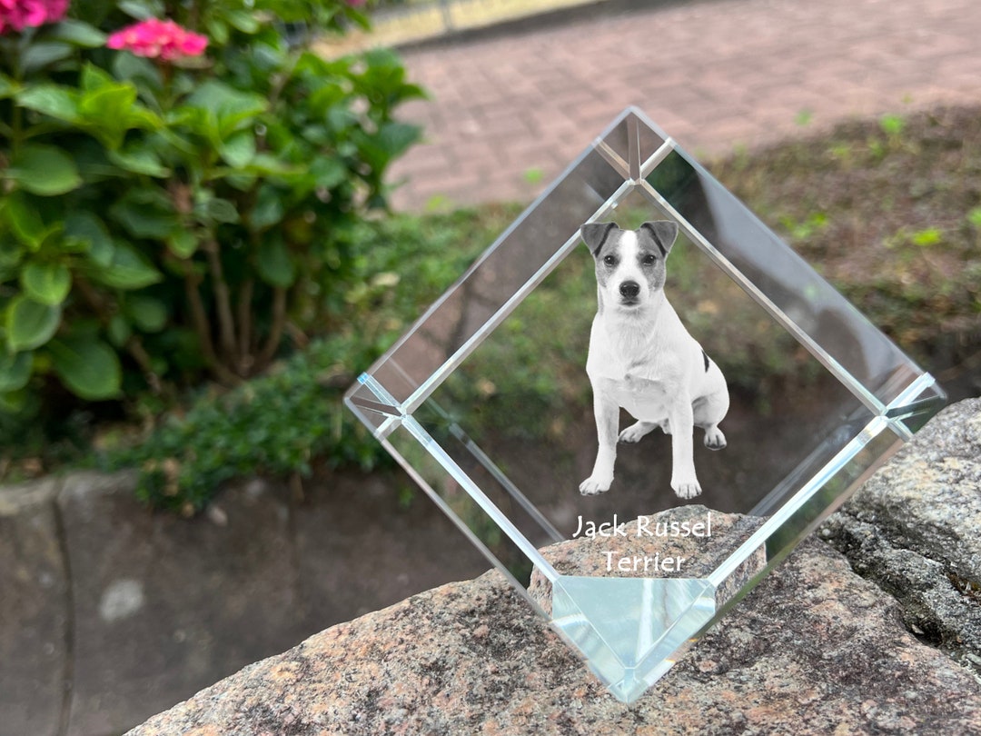 Jack Russel Terrier Crystal Cube With a Dog, Engraved Crystal Cube ...