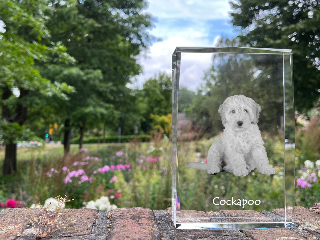 Cockapoo Crystal Decor With a Dog, Engraved Crystal Decoration, Custom ...
