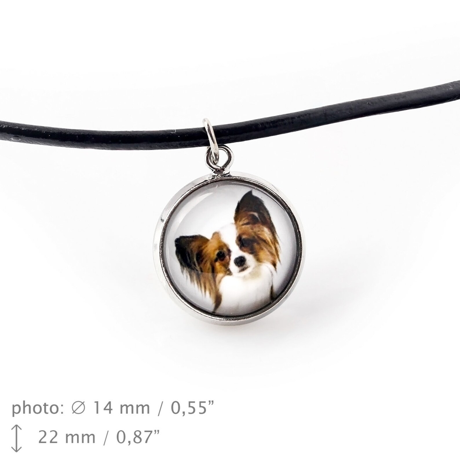 Papillon A Set of Jewelry in a Gift Box, Necklace and Earrings With a ...