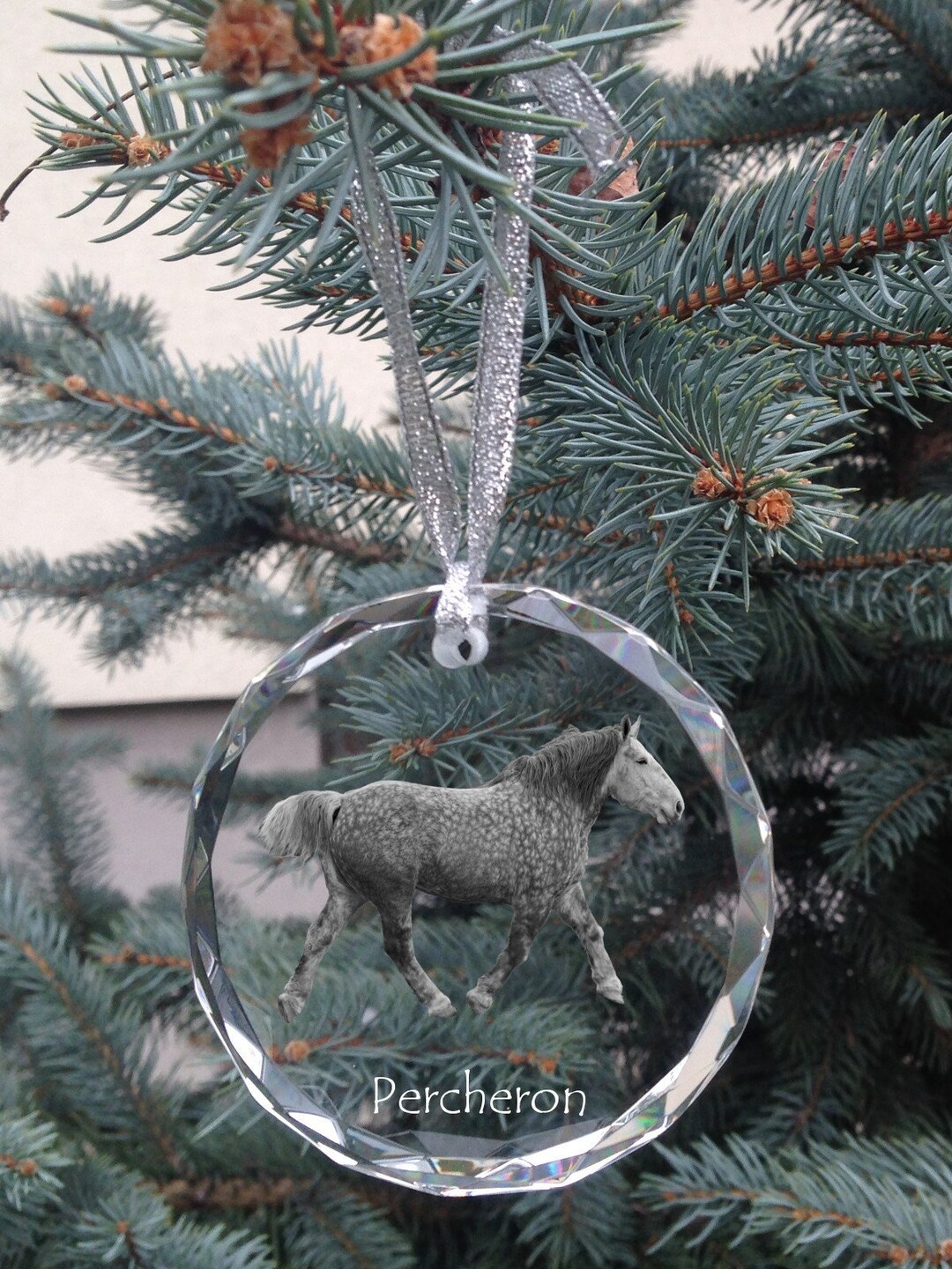 Percheron Crystal Ornament, Custom Christmas Ball With Photo, Hanging ...
