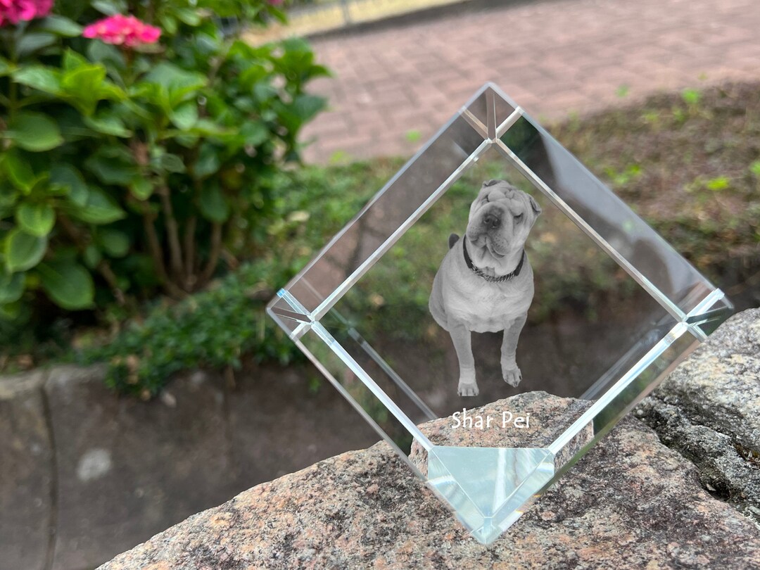 Shar Pei Crystal Cube With a Dog, Engraved Crystal Cube, Custom Crystal ...