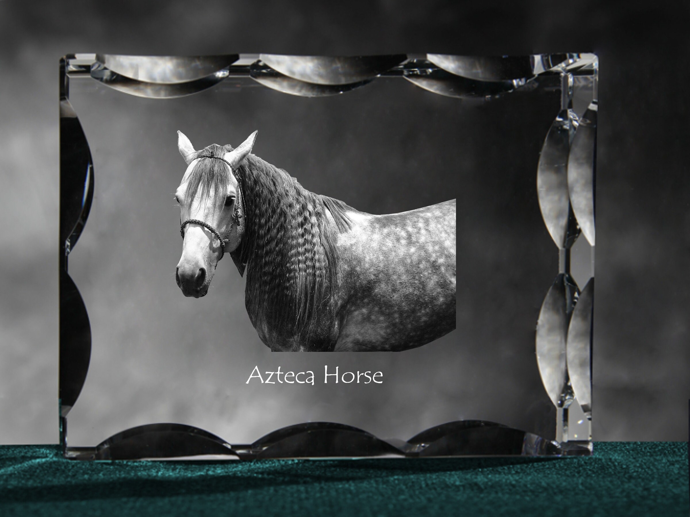 Grey Azteca Horse