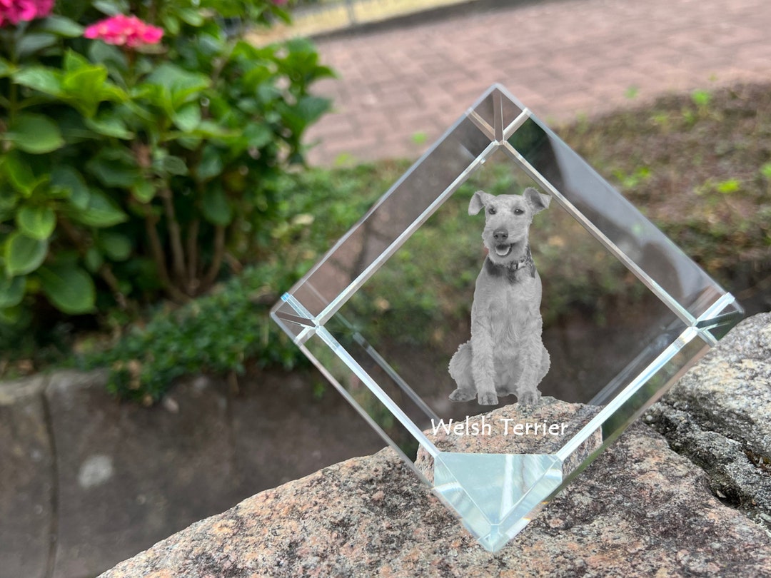 Welsh Terrier Crystal Cube With a Dog, Engraved Crystal Cube, Custom ...