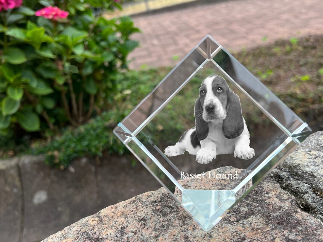Basset Hound Crystal Cube With a Dog, Engraved Crystal Cube, Custom ...