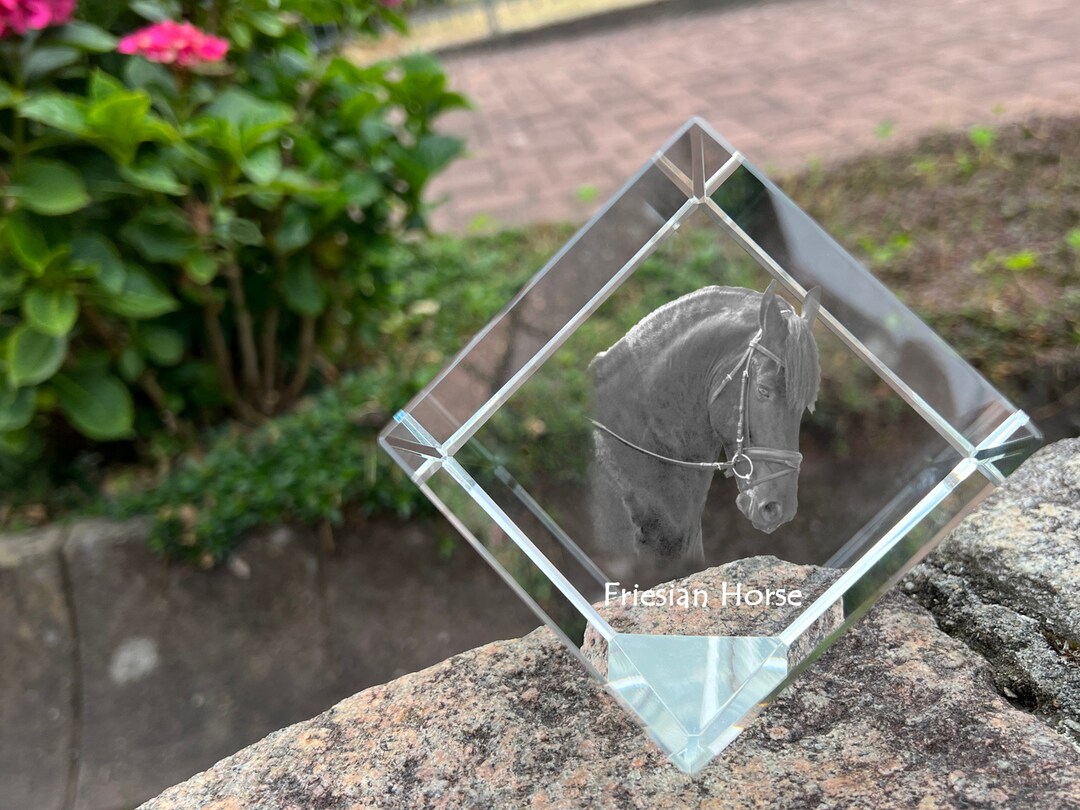 Friesian Horse Crystal Cube With a Cat, Engraved Crystal Cube, Custom ...
