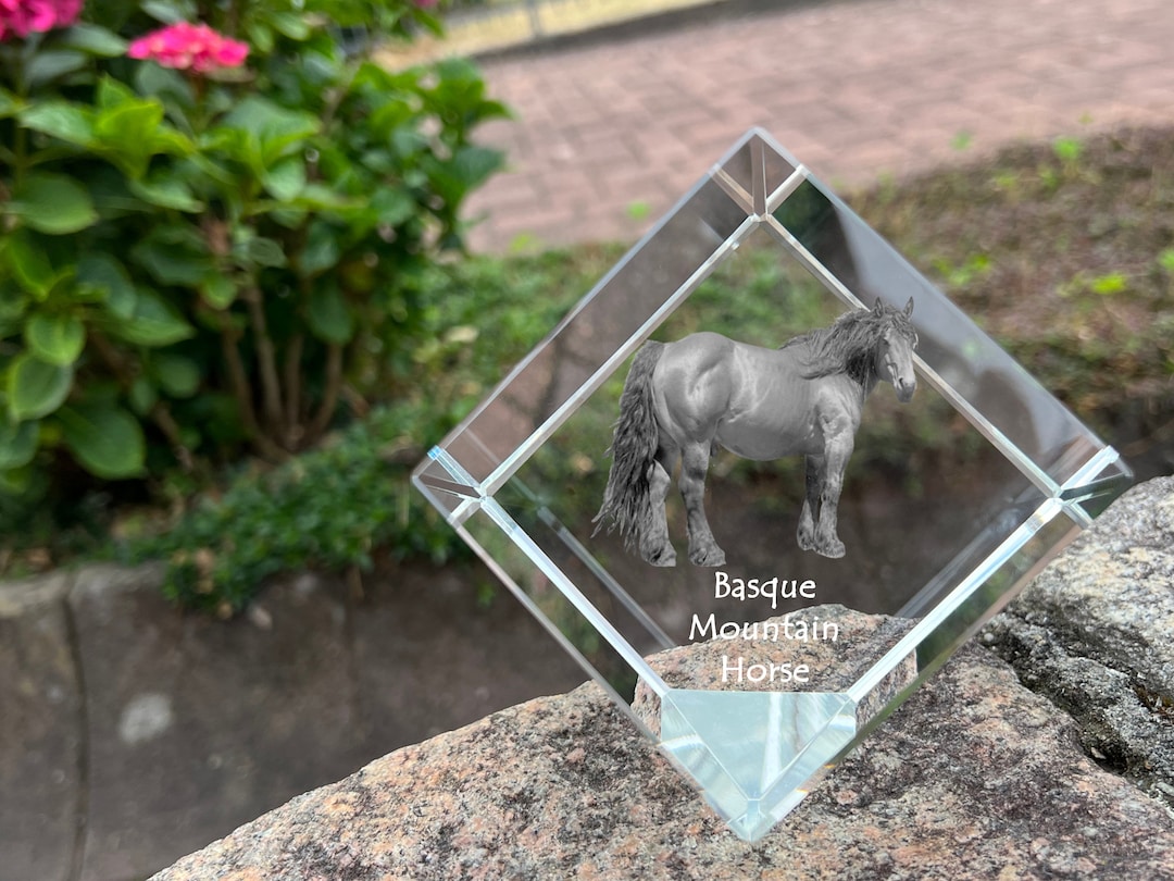 Basque Mountain Horse Crystal Cube With a Cat, Engraved Crystal Cube ...