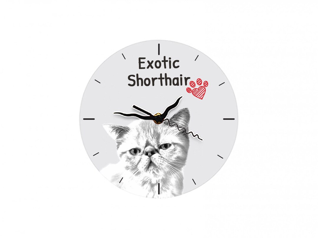 Un reloj con un gato, exótico de pelo corto, reloj de MDF, un reloj de ...