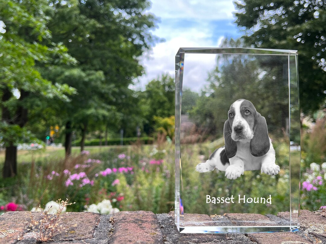 Basset Hound Crystal Decor With a Dog, Engraved Crystal Decoration ...