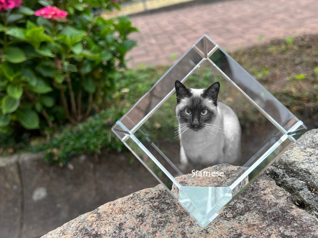 Siamese Crystal Cube With a Cat, Engraved Crystal Cube, Custom Crystal ...