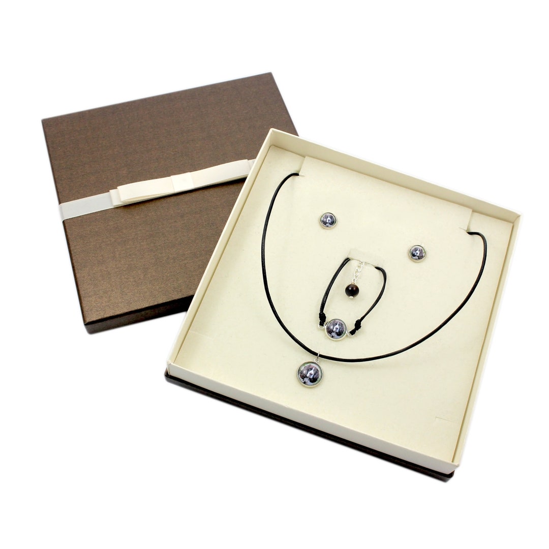 Springer Spaniel A Set of Jewelry in a Gift Box, Necklace, Bracelet and ...