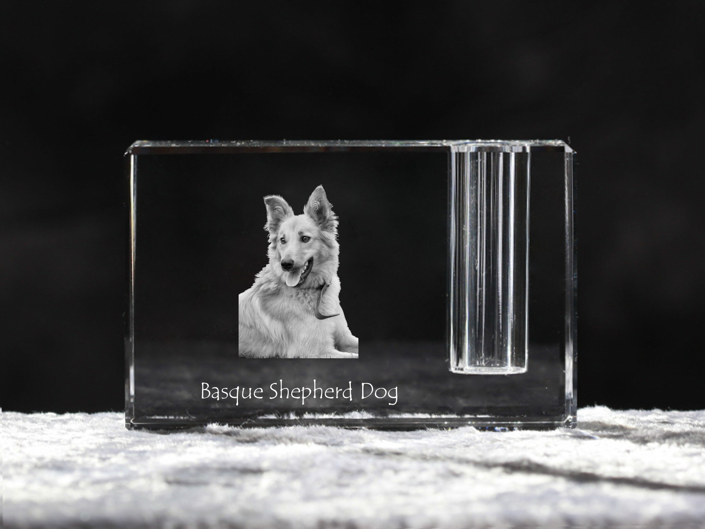 Are Basque Shepherd Dog Hypoallergenic