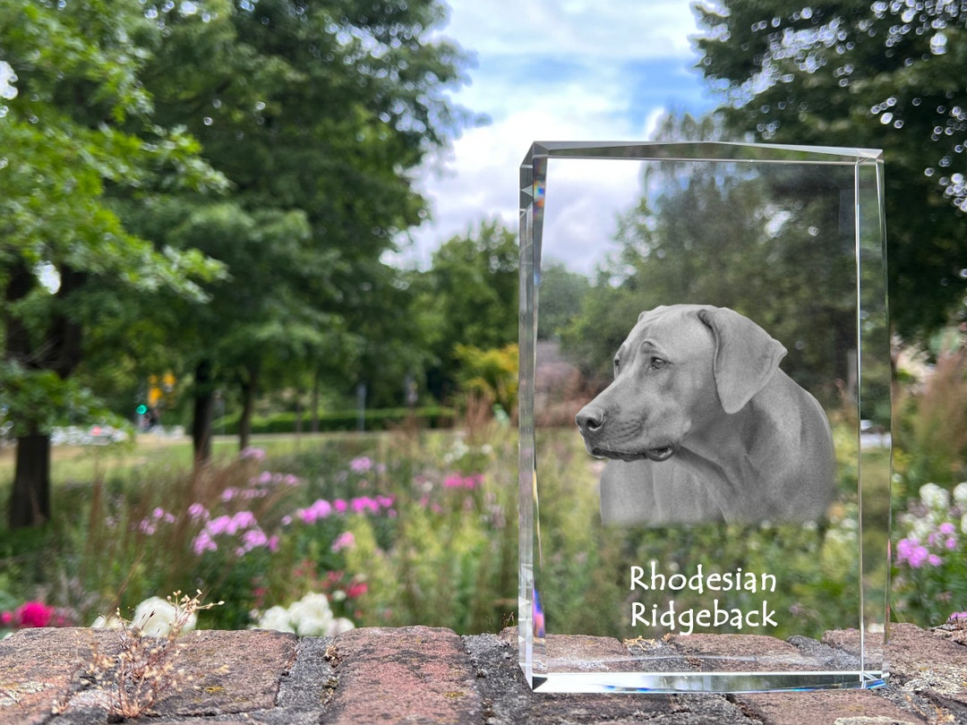 Rhodesian Ridgeback Crystal Decor With a Dog, Engraved Crystal ...