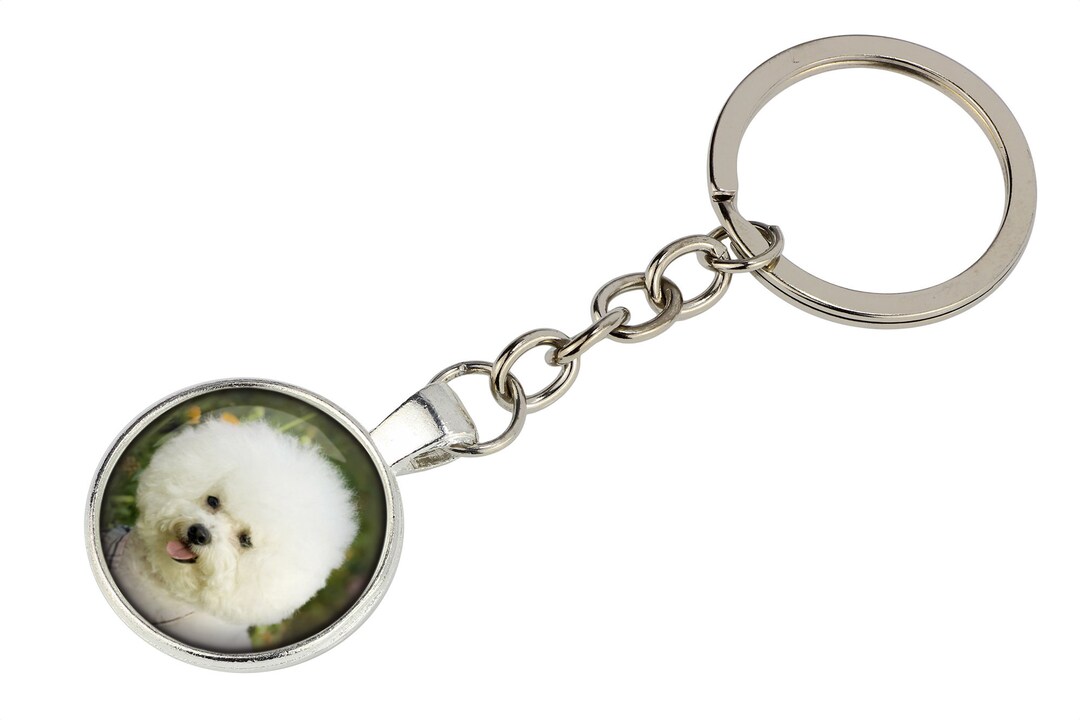 Bichon Keyring With a Photo of a Dog, Customizable Keychain for Pet ...