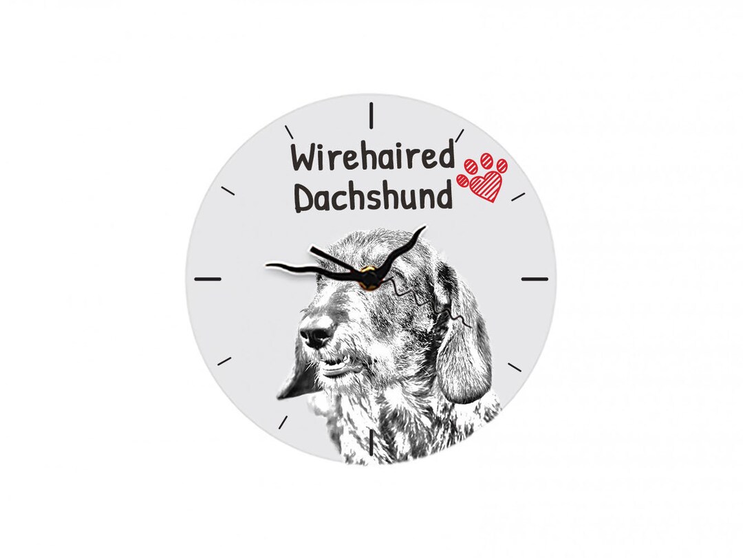 Un reloj con un perro, Teckel de pelo duro, un reloj de MDF, un reloj ...