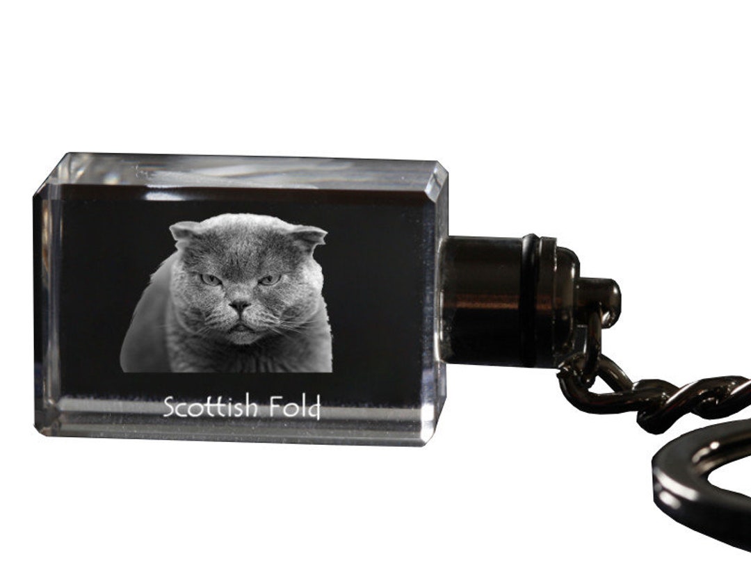 Scottish Fold Crystal Keyring With a Cat, Engraved Crystal Key Ring ...