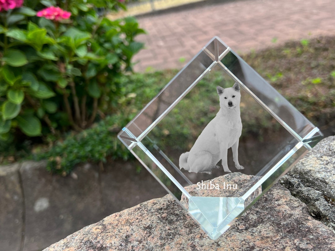 Shiba Inu Crystal Cube With a Dog, Engraved Crystal Cube, Custom ...
