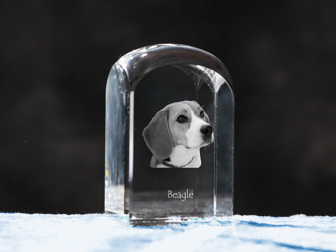 Beagle Engraved Crystal, Crystal With Dog, Standing Decoration With Dog ...