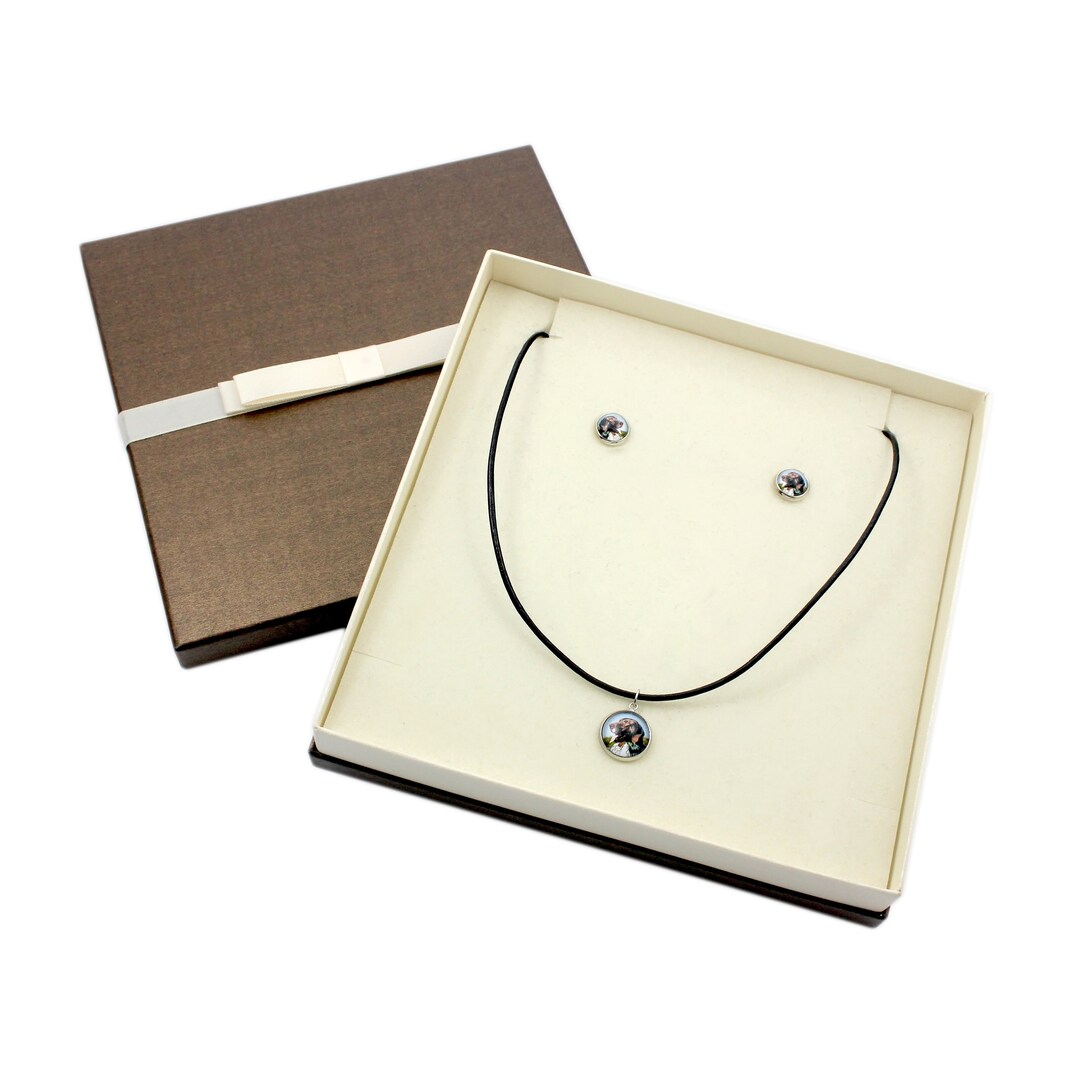 Pointer A Set of Jewelry in a Gift Box, Necklace and Earrings With a ...