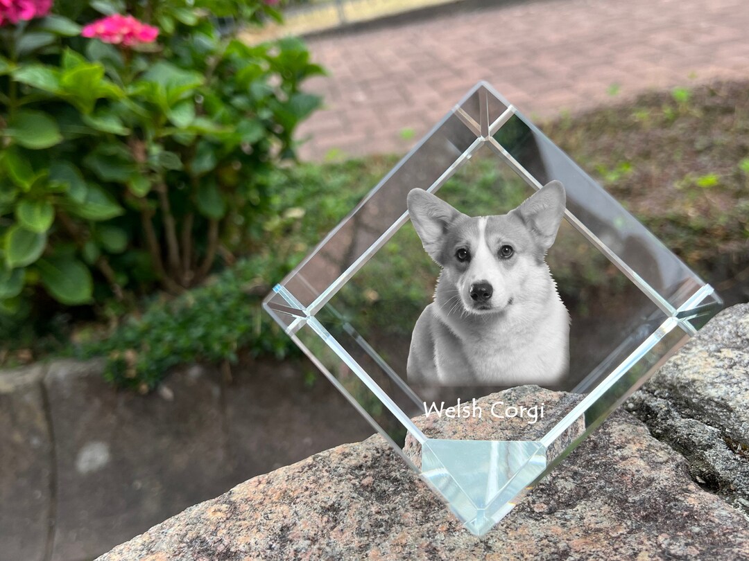 Welsh Corgi Crystal Cube With a Dog, Engraved Crystal Cube, Custom ...