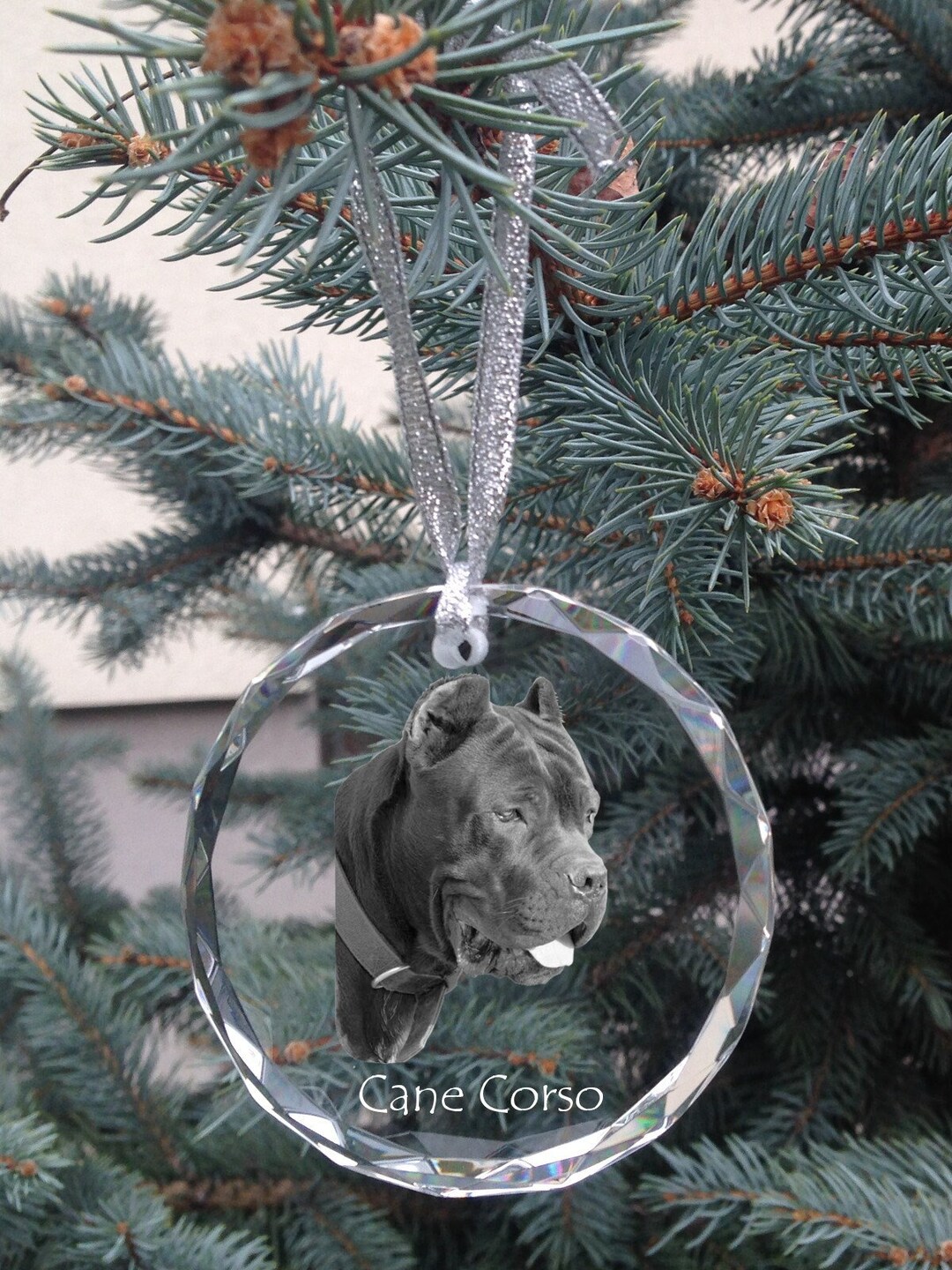 Cane Corso Crystal Ornament, Custom Christmas Ball With Photo, Hanging ...