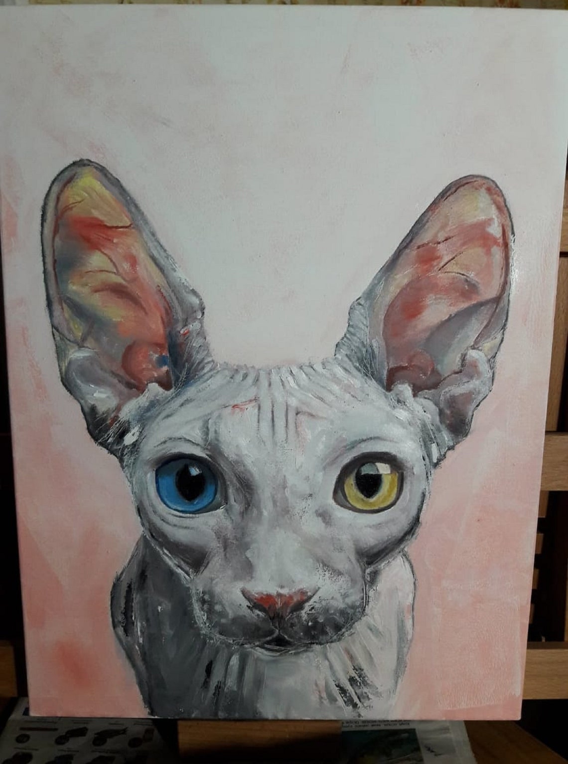 Sphynx cat art painting Sphynx cat portrait different eyes | Etsy