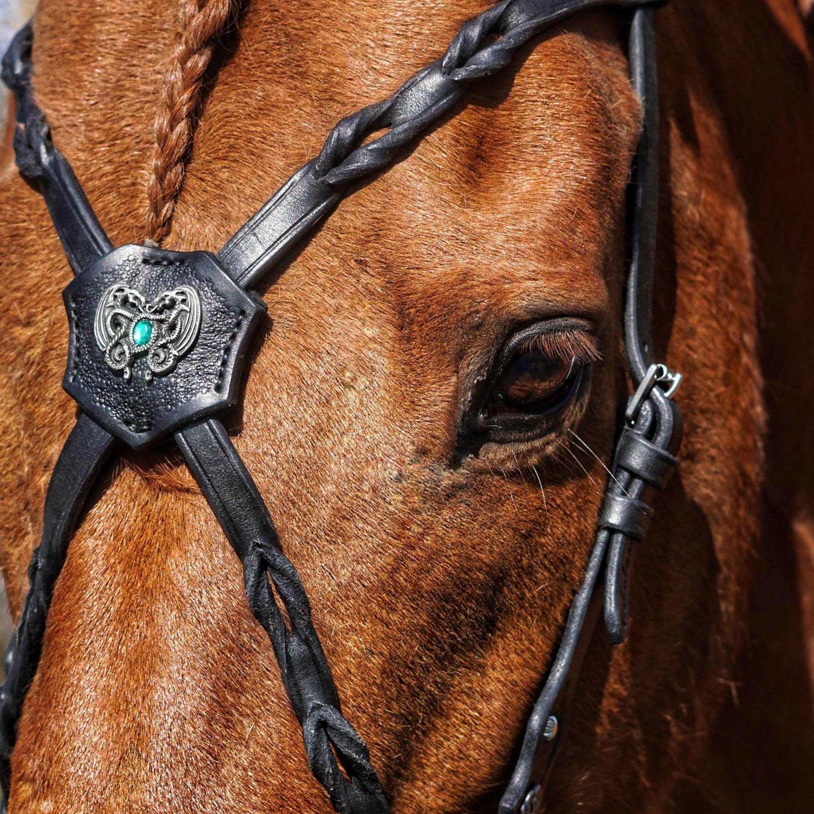 Medieval War Horse Tack