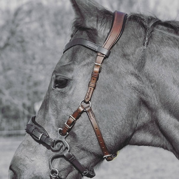 Schikanieren Führer Farn hackamore kopfstück Anmeldung kriechen reifen