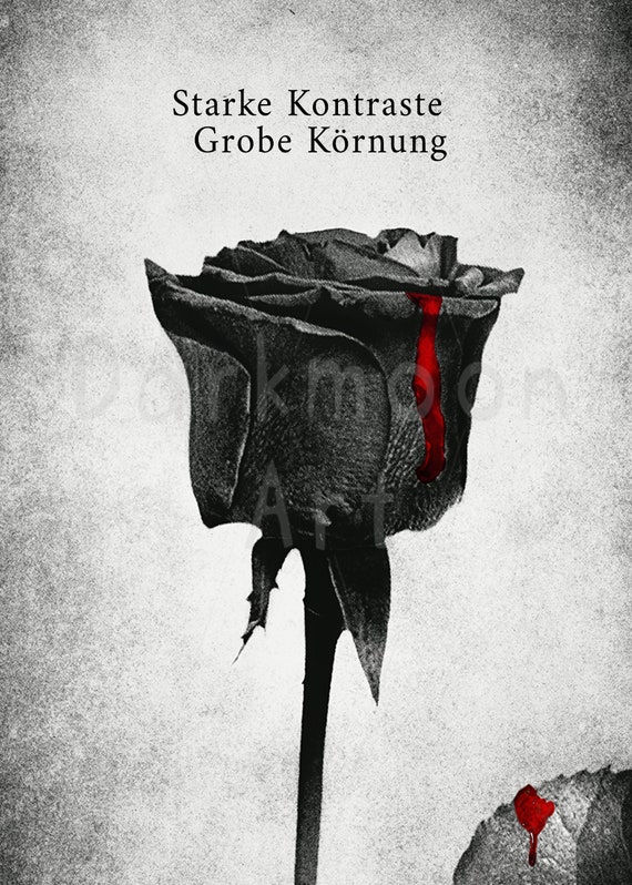 Gothic Black Roses Wallpaper