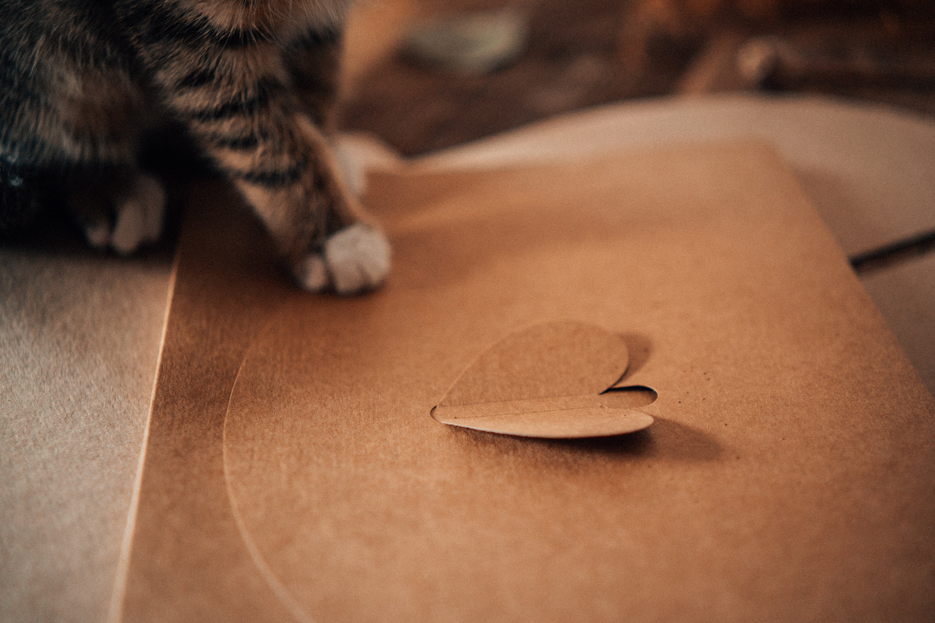 DVD Box Cd Box Cd Case Wedding Box Wedding Gift Dvd Box | Etsy