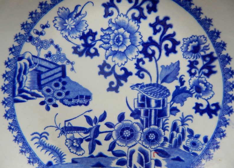 A Spode, 'grasshopper' Pattern With Trellis Border, Soup Plate - Etsy ...