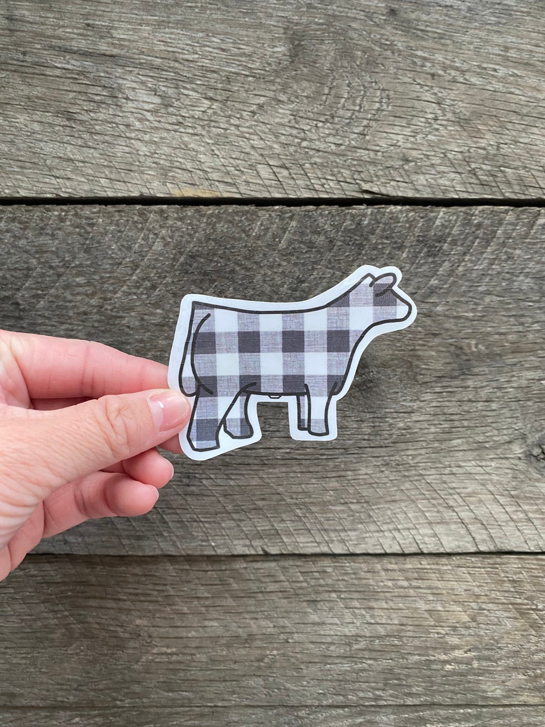 Show Steer Sticker / Show Steer / Show Cattle / Livestock / - Etsy