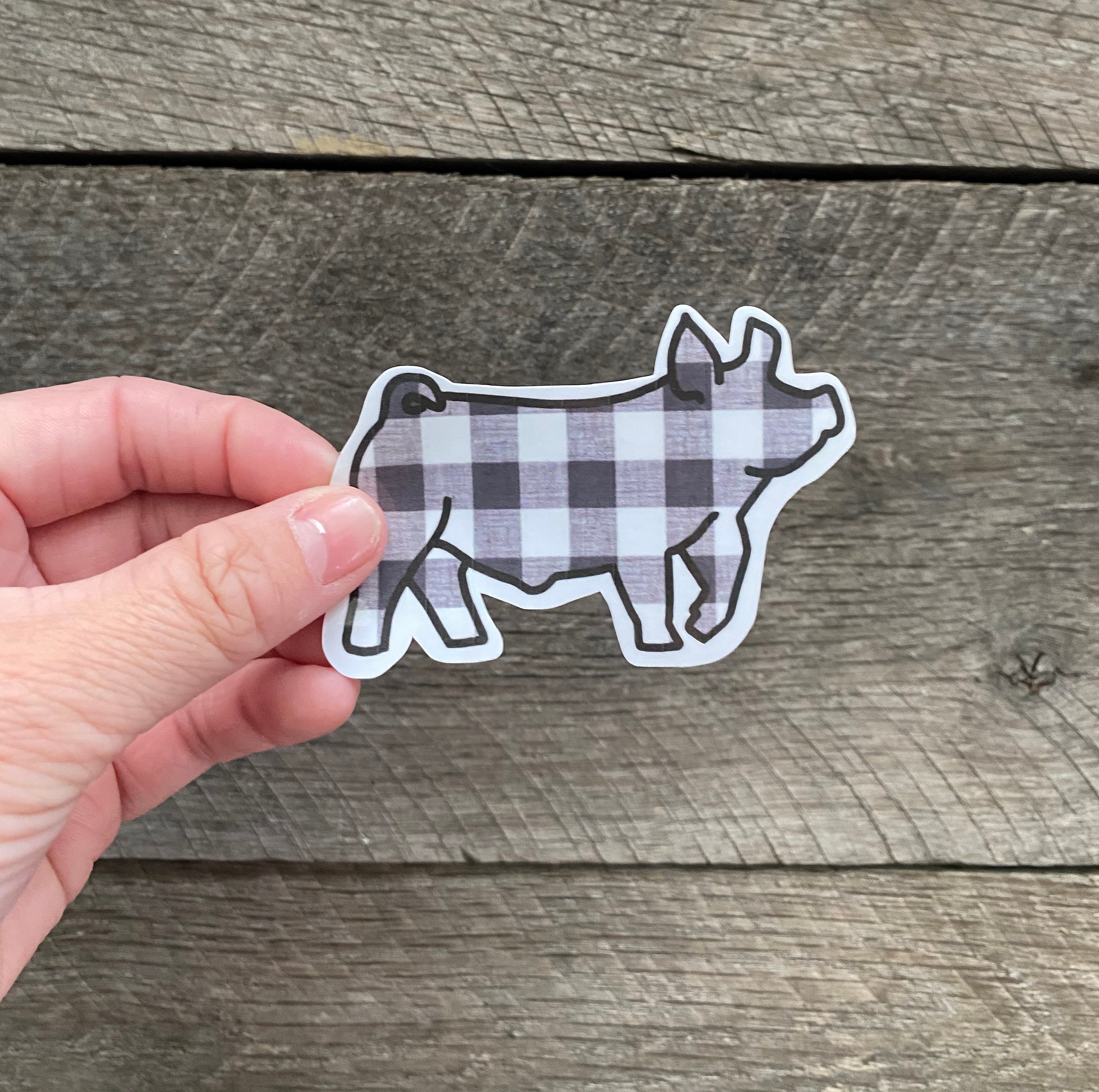 Show Hog Showing ' Livestock Farming Hog Show Pig Pig Show Pig Sticker ...