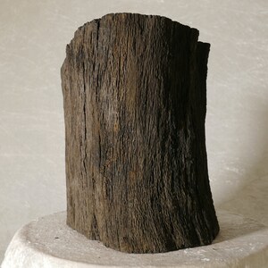 Rarity 5 Kg Bog Oak Tree Piece 3000 Years Old - Etsy