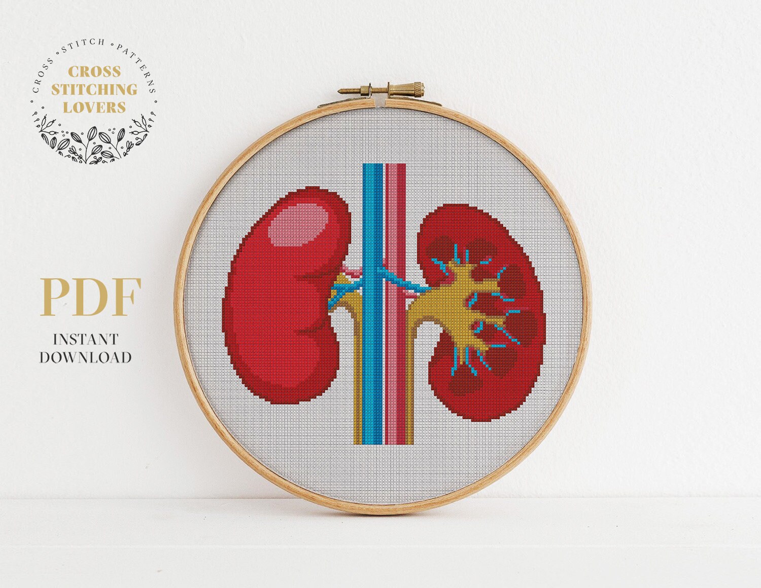 Anatomical Theme Cross Stitch Pattern, Human Kidney, Count Cross Stitch ...