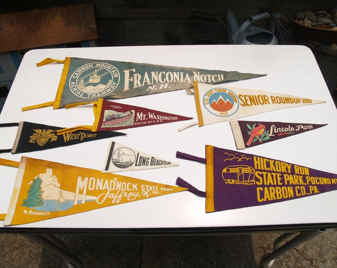 Vintage Felt Tourist Pennant Flag - Etsy