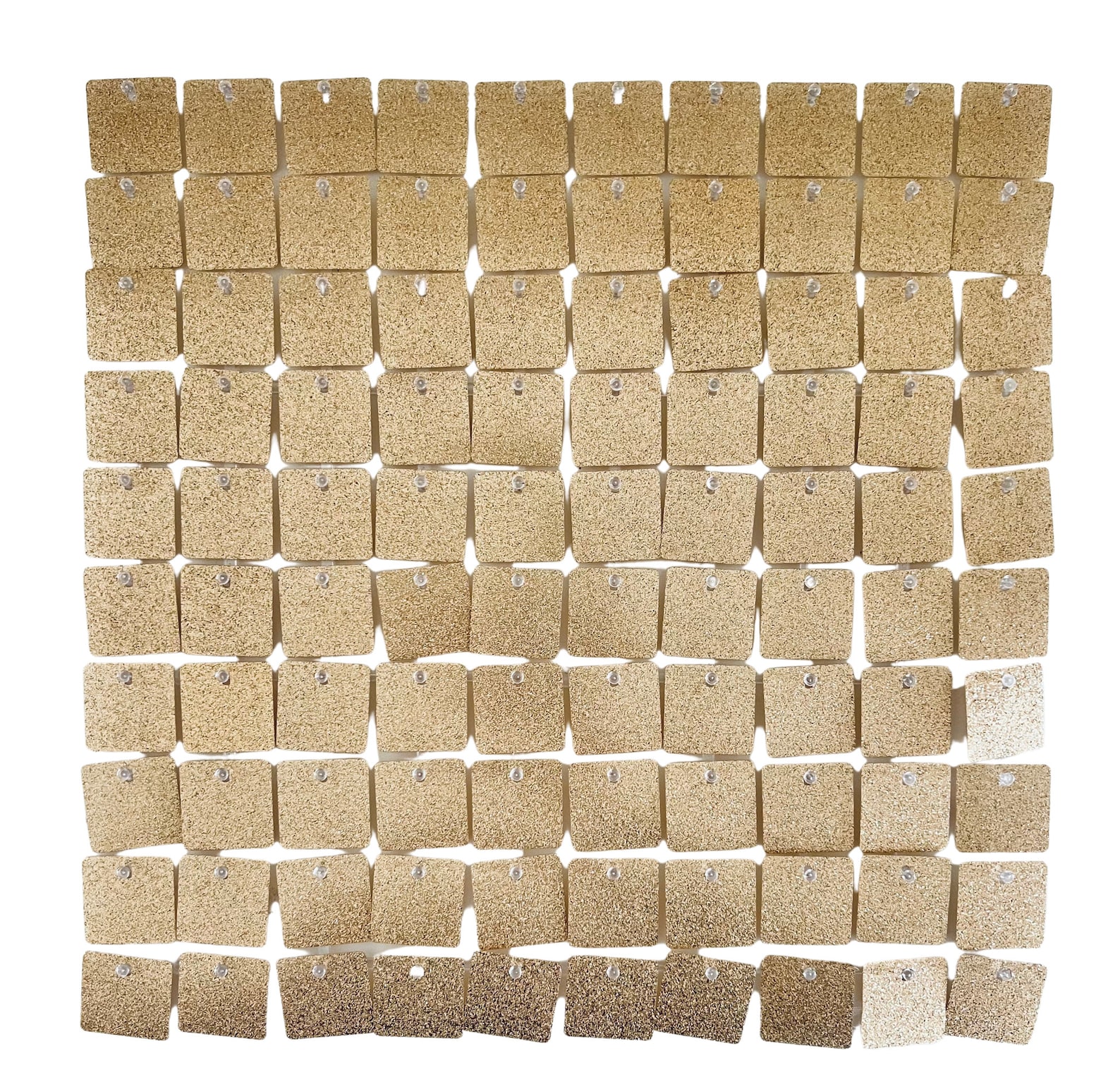 Shimmer Wall Sequin Panels: Blush Blooms Backdrop, 28 Interlocking ...