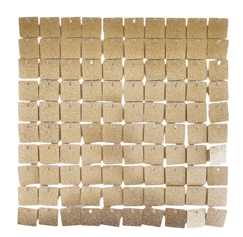 Shimmer Wall Sequin Panels: Blush Blooms Backdrop, 28 Interlocking ...