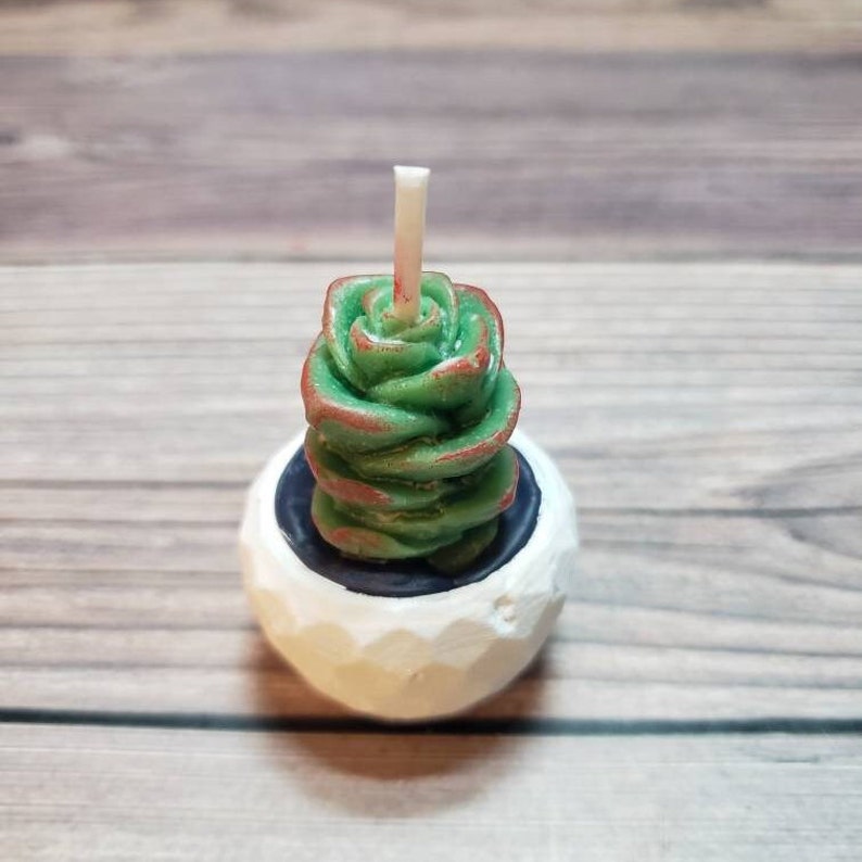Mini Cactus Tea Lights, Candle Set of 4 - Etsy