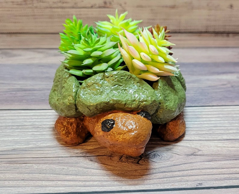 The Ancient Turtle Cement X 1 - Etsy