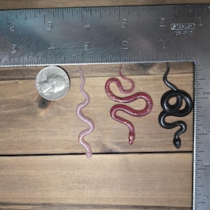 Mini Snakes, Hand Painted, Resin - Etsy