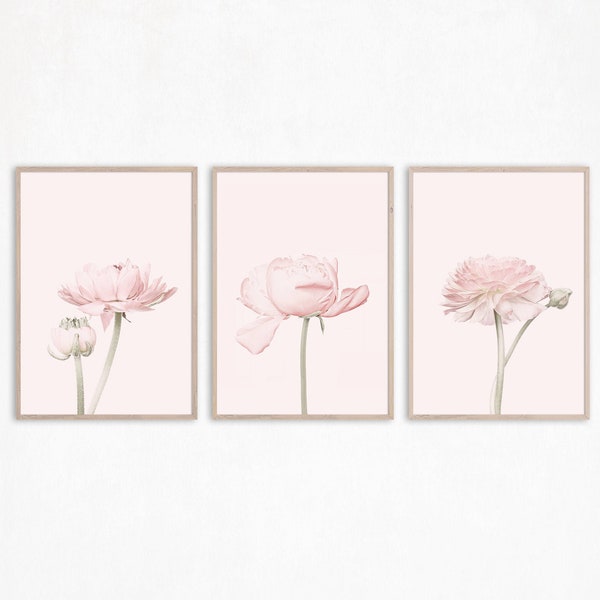 Blush Pink Wall Art - Etsy