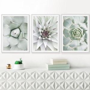 Succulent Print Cactus Print Set of 3 Prints Scandinavian Modern Home ...