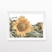 Sunflower Print Farmhouse Printable Botanical Art Print Farm | Etsy