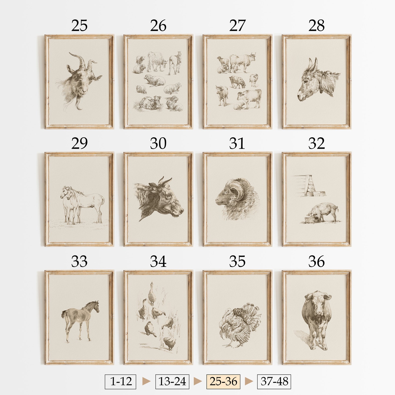 Vintage Farm Animal Prints: Neutral Rustic Farmhouse Decor, Farm ...