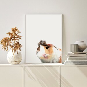 Guinea Pig Print Guinea Pig Wall Decor Cavy Print Guinea Pig Portrait ...